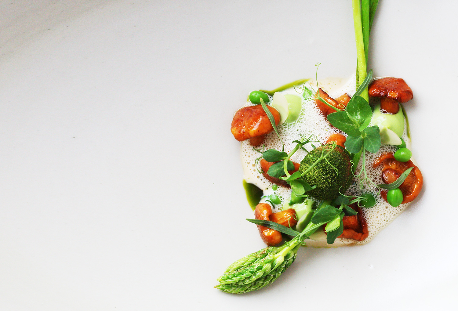 Restaurant ESqUISSE | レストラン エスキス